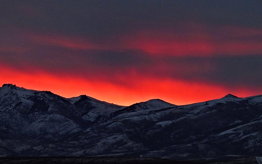 MODULE 2: The Sunrise Ruby – Embodied Masculine Programs