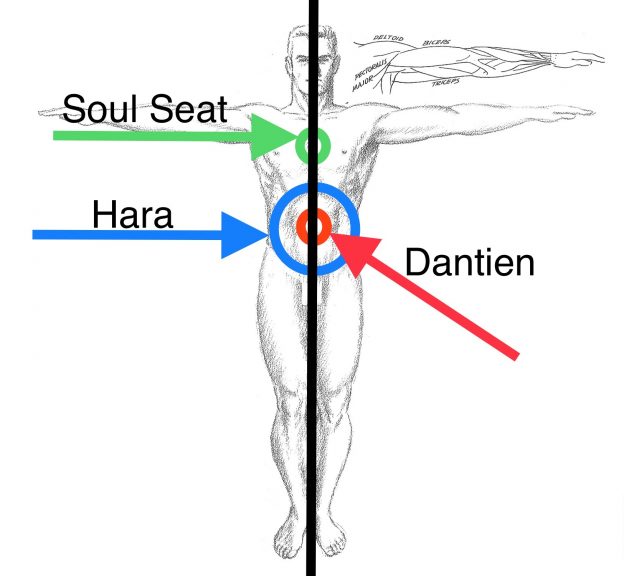 Intentional Alignment – Embodied Masculine Programs