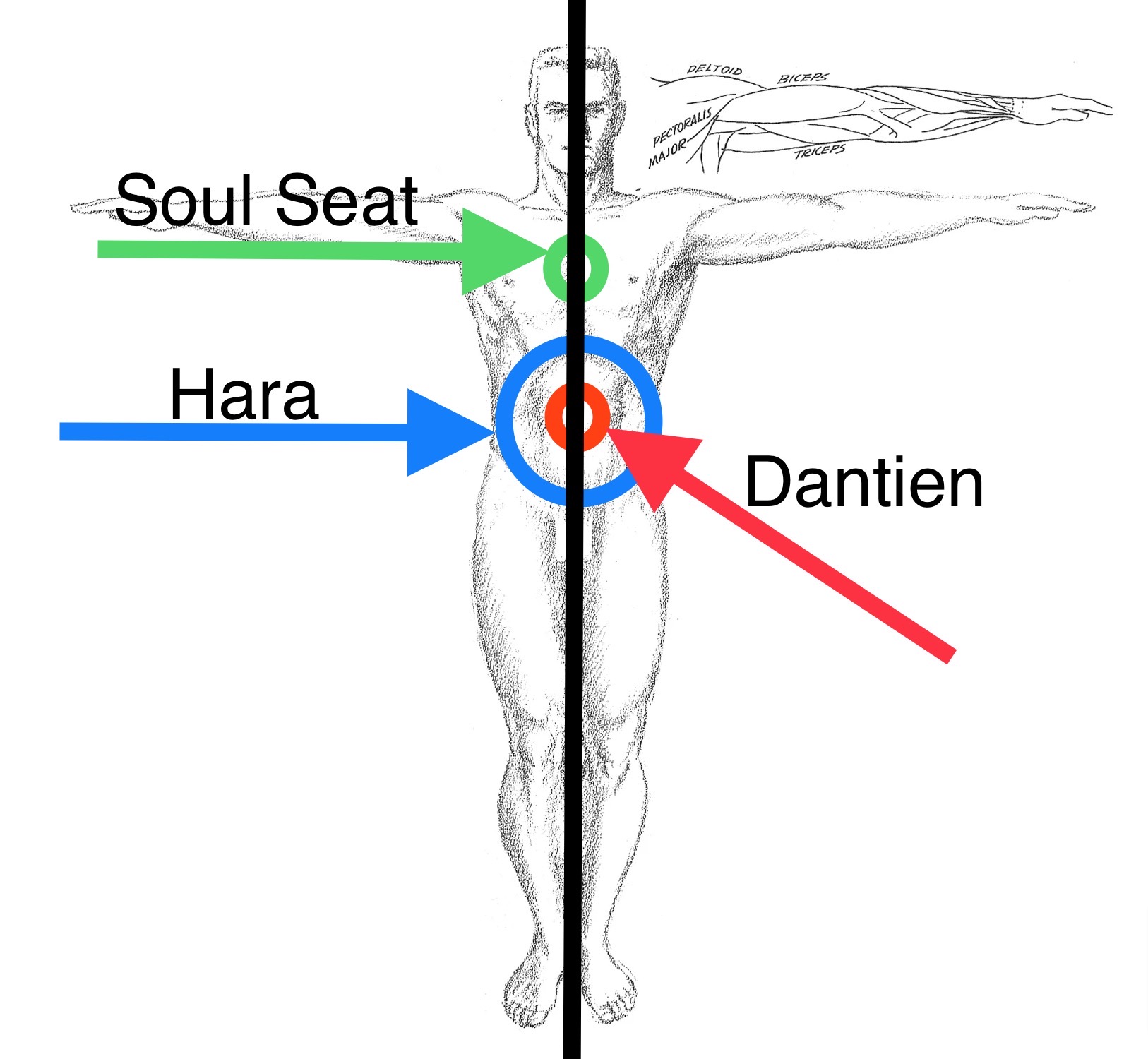 Intentional Alignment – Embodied Masculine Programs