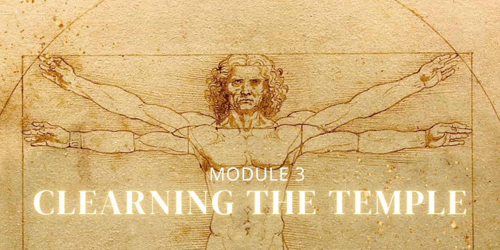 MODULE 3: Clearing The Temple – Embodied Masculine Programs