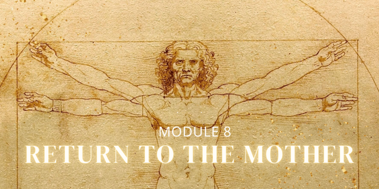 MODULE 8: The Mother – Embodied Masculine Programs