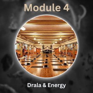 MODULE 4: Drala & Energy – Embodied Masculine Programs