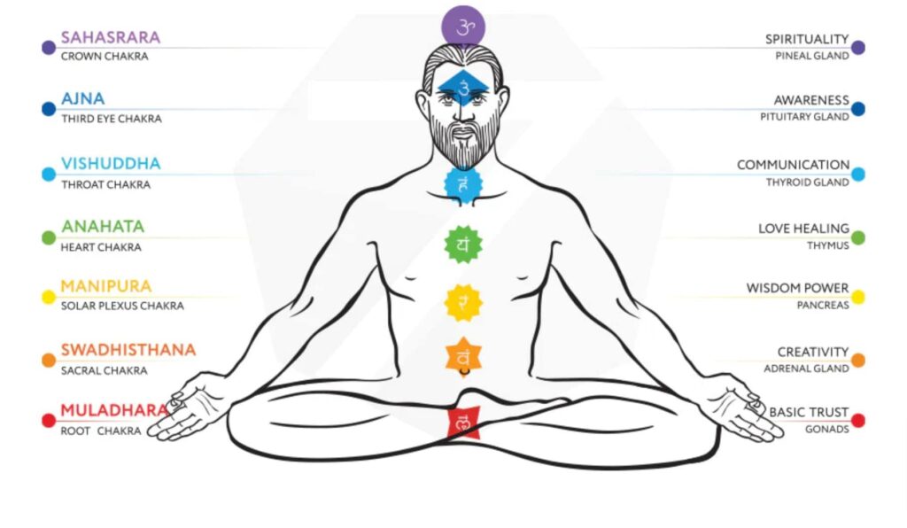 The Chakra System – Embodied Masculine Programs